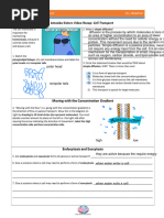 Amoeba Sisters: Video Recap Enzymes | PDF | Catalase | Enzyme