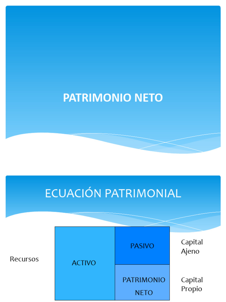 Patrimonio Neto Descargar Gratis Pdf Valor Neto Compartir Finanzas