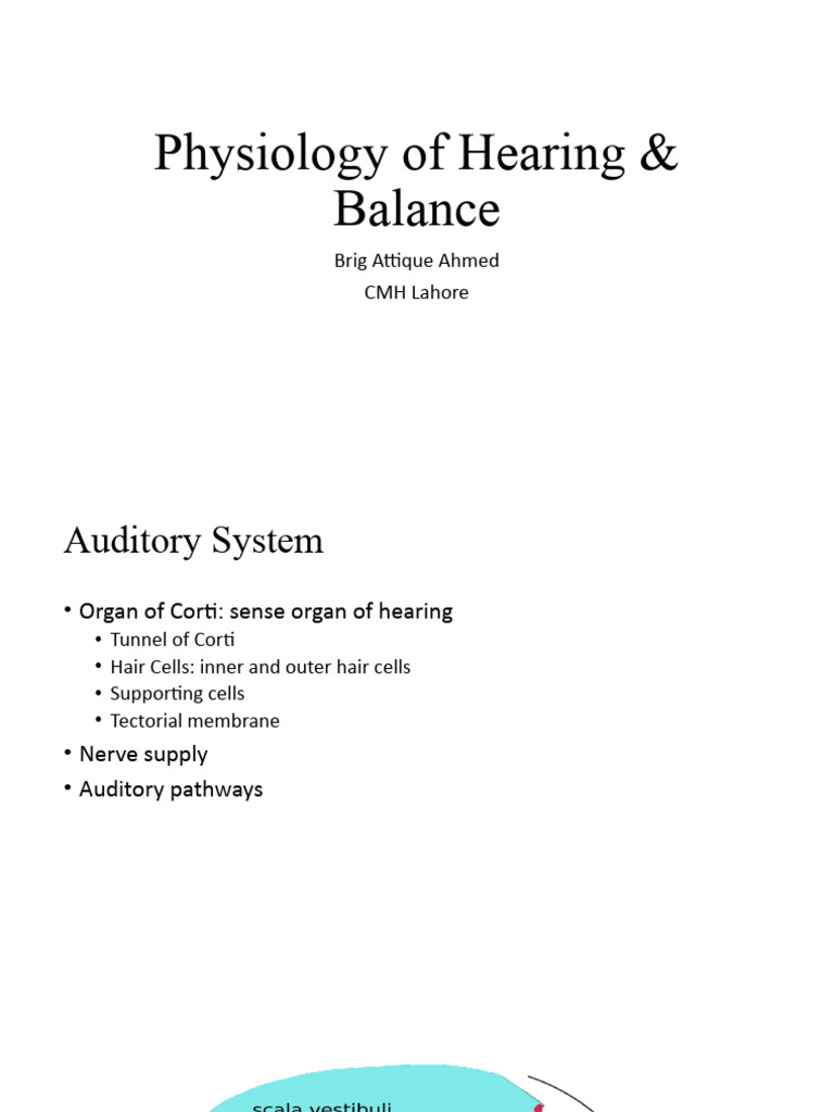 Hearing and Balance Physiology Overview | PDF