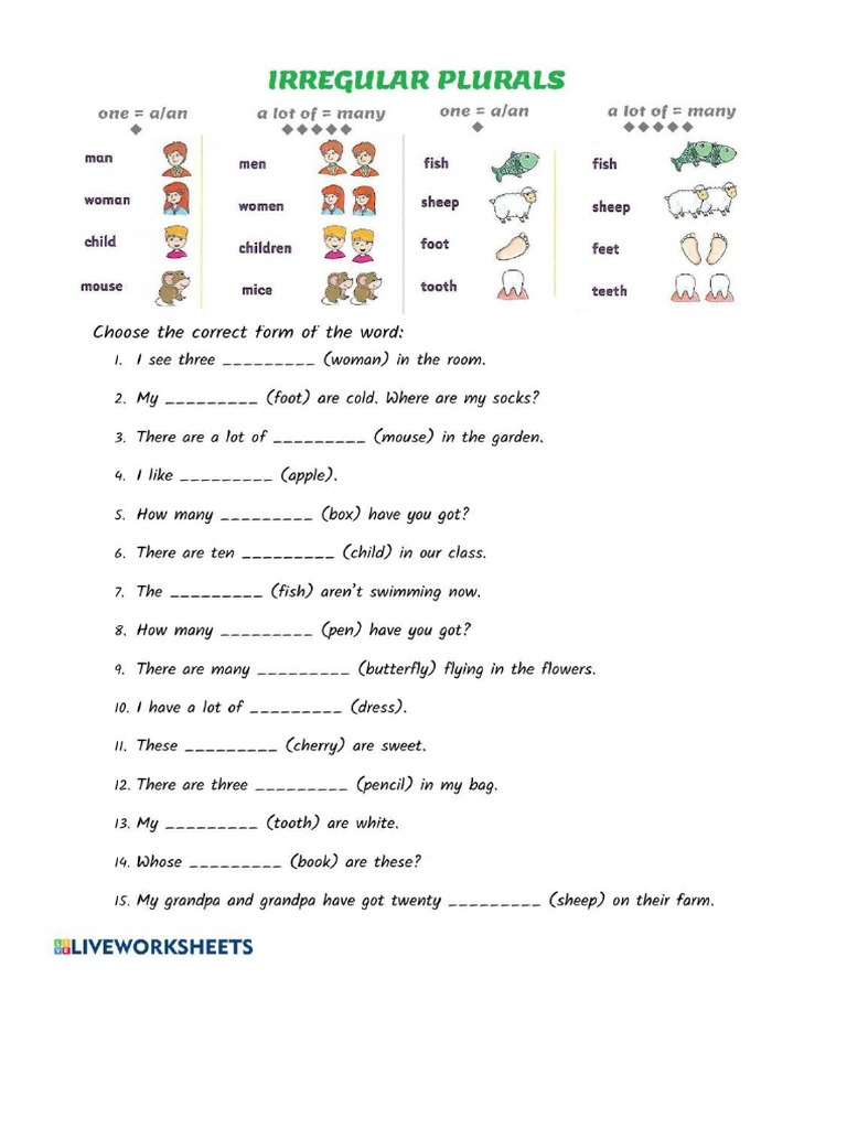 Irregular Plurals | PDF