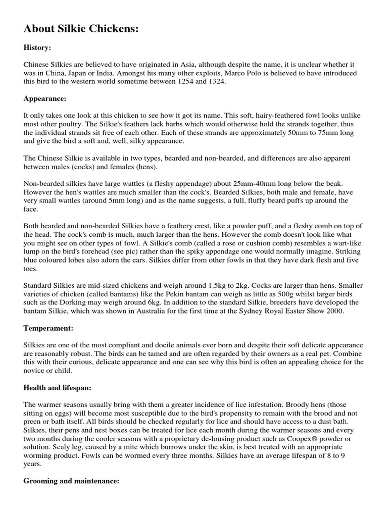 Further Information About Silkie Chickens | PDF | Chicken | Birds