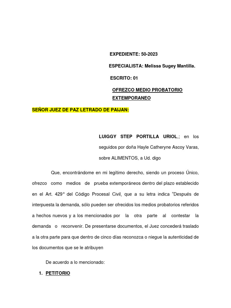 Medio Probatorio Extemporaneo! | PDF | Demanda judicial | Ley Pública