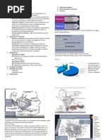 Arco de Riolano | PDF | Tinción | Anatomía