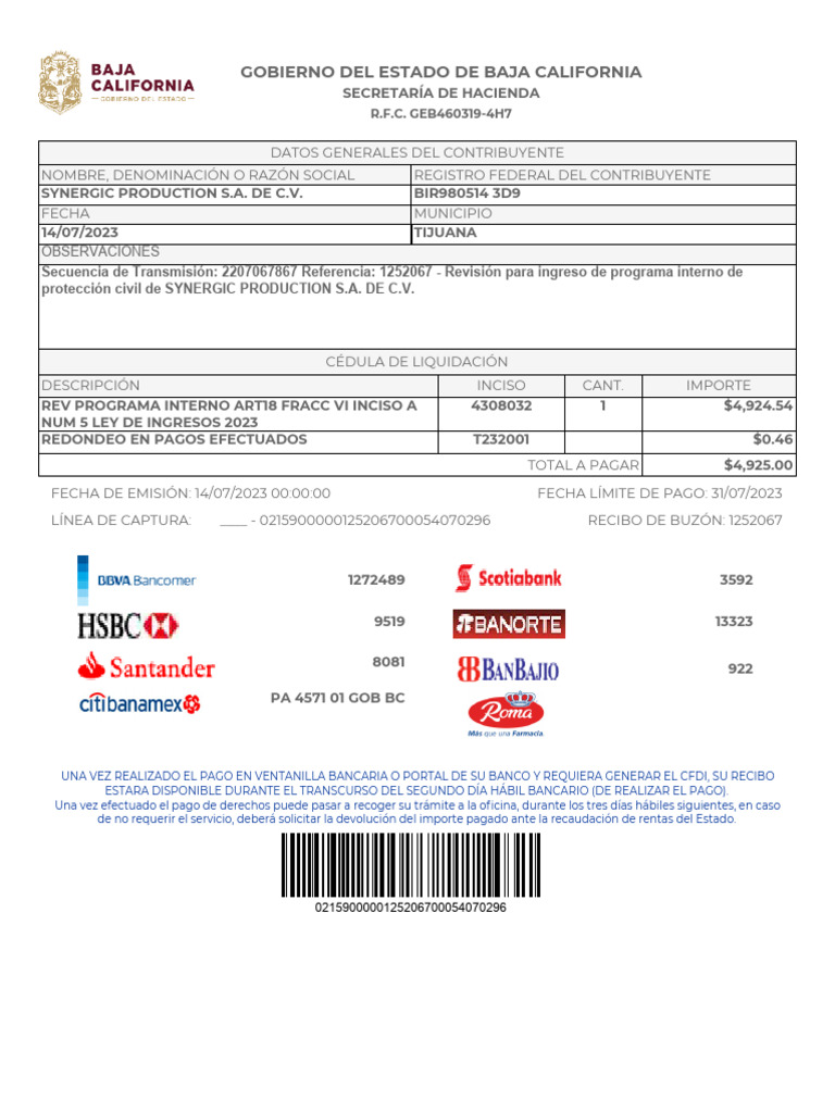 Synergic Production S.A. de C.V. | PDF | Gobierno | Economias