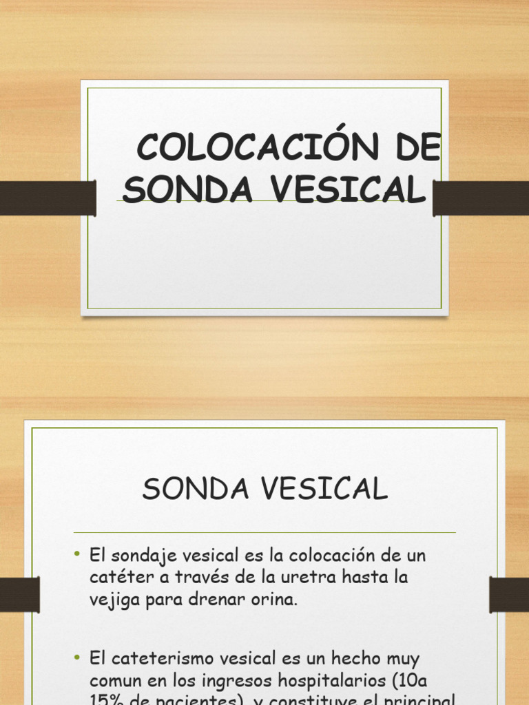 Colocacion Sonda Vesical | PDF | Infección del tracto urinario ...