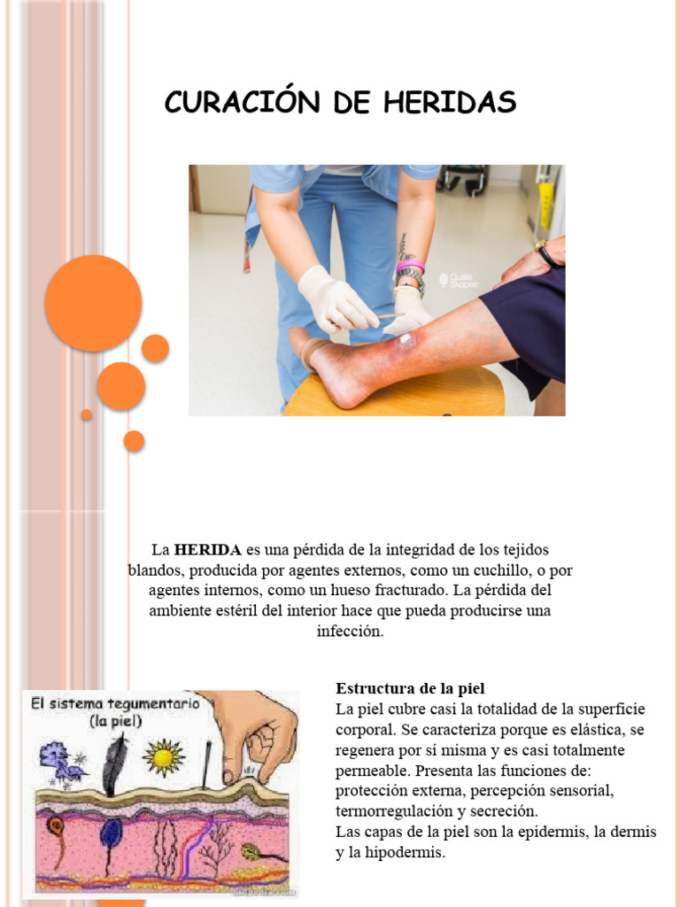 Curación de Heridas | PDF | Piel | Cicatrización de la herida