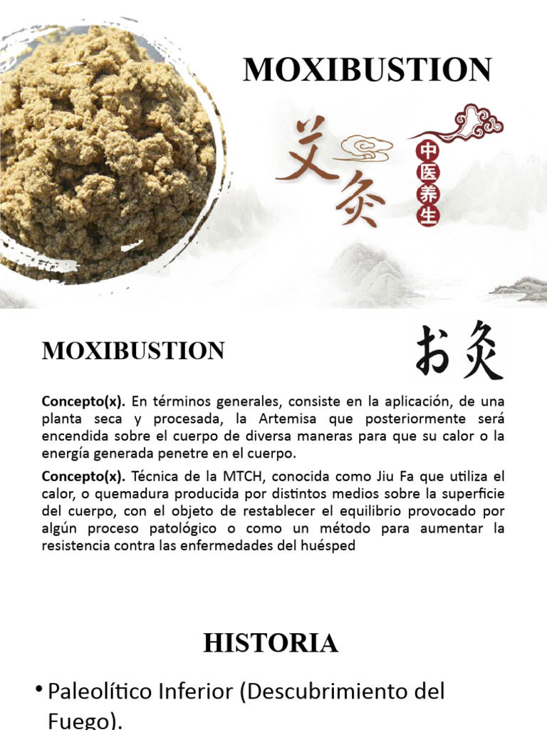 Power Point Moxibustión | PDF