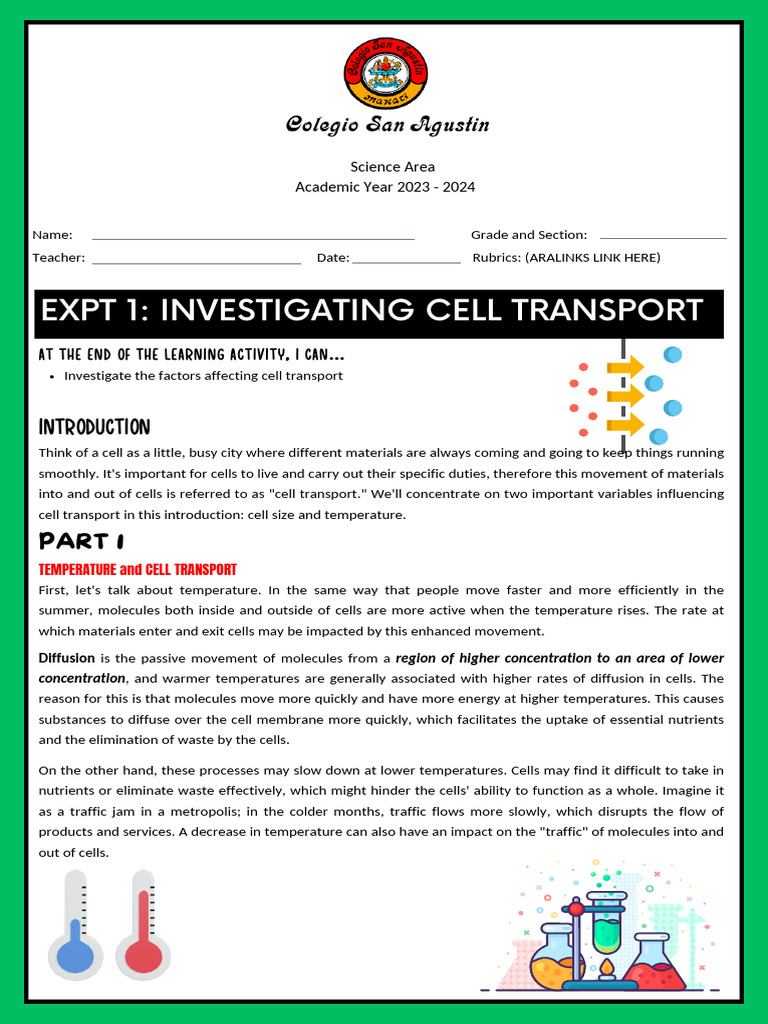 Experiment 1 Investigating Cell Transport | PDF | Volume | Cell (Biology)