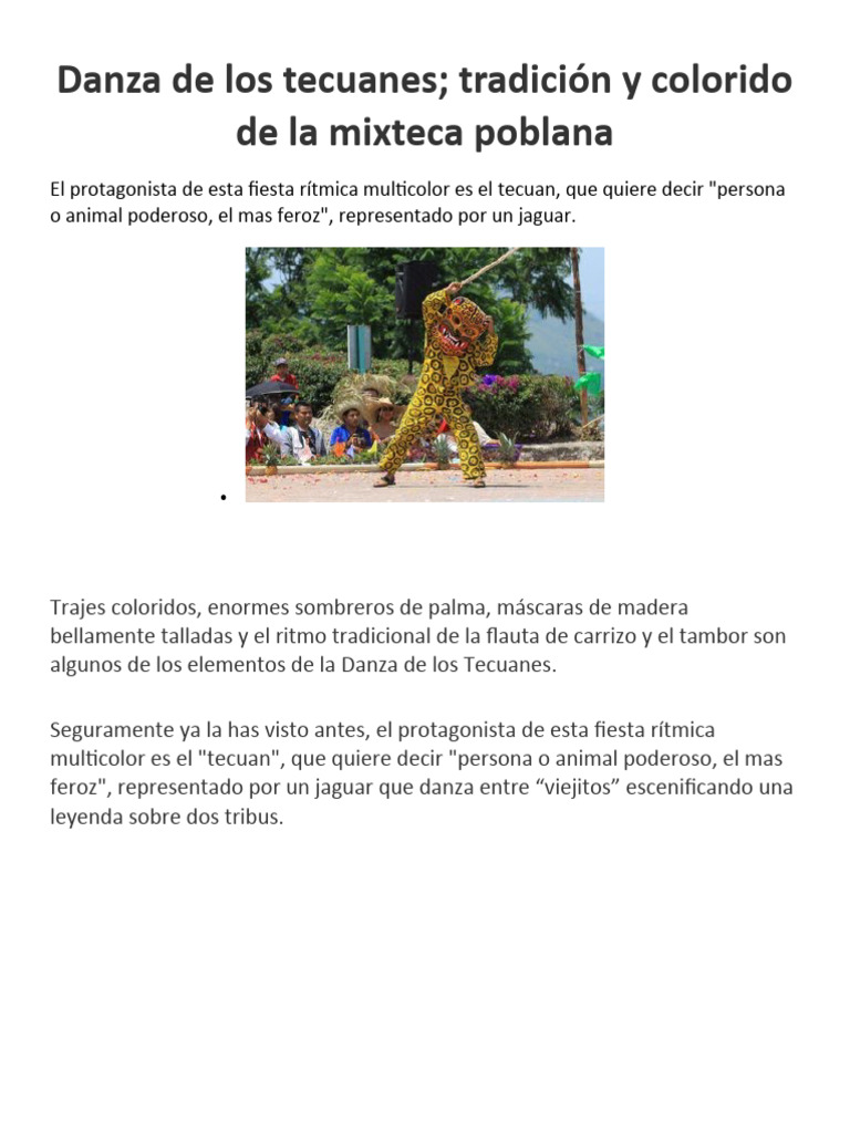 Danza de Los Tecuanes | PDF | Bailes | Ropa
