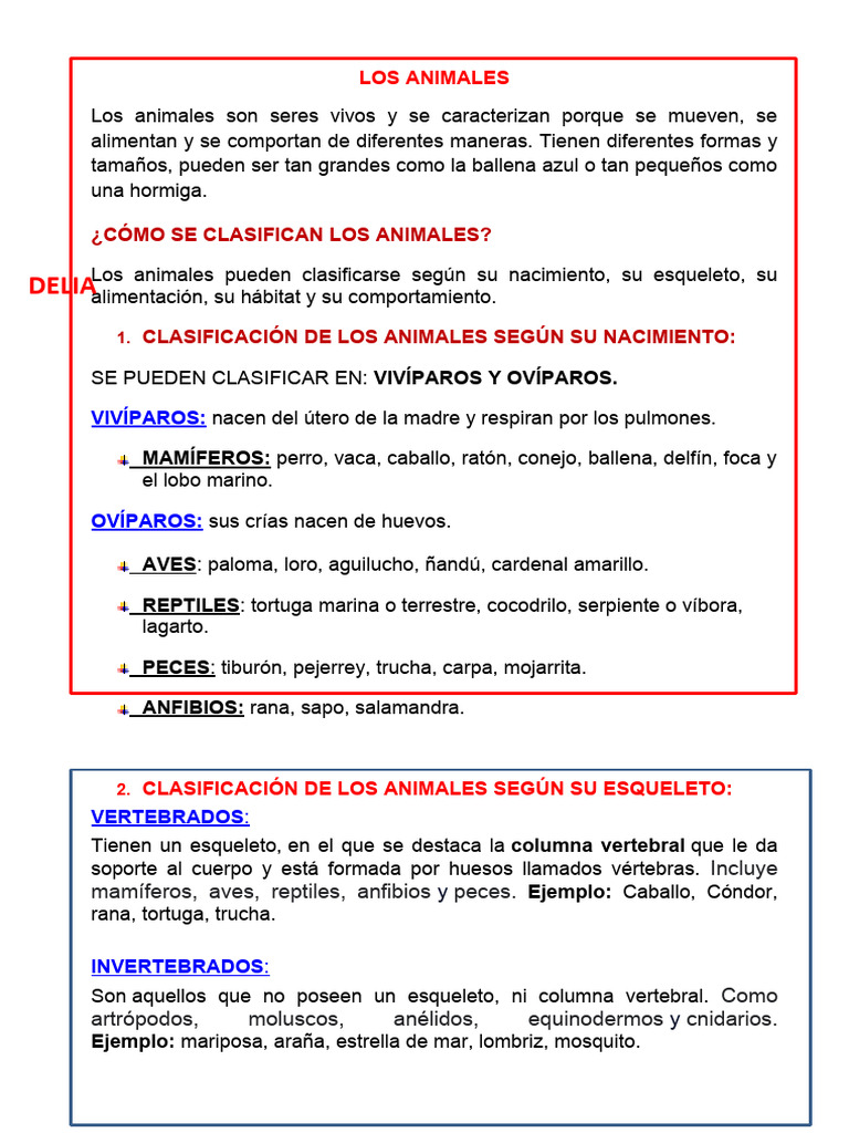 Los Animales | PDF | Esqueleto | Reptil