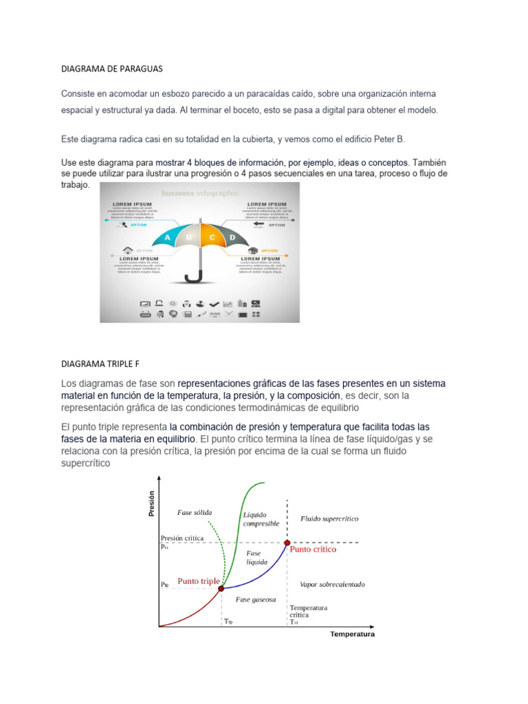 DIAGRAMA DE PARAGUAS | PDF