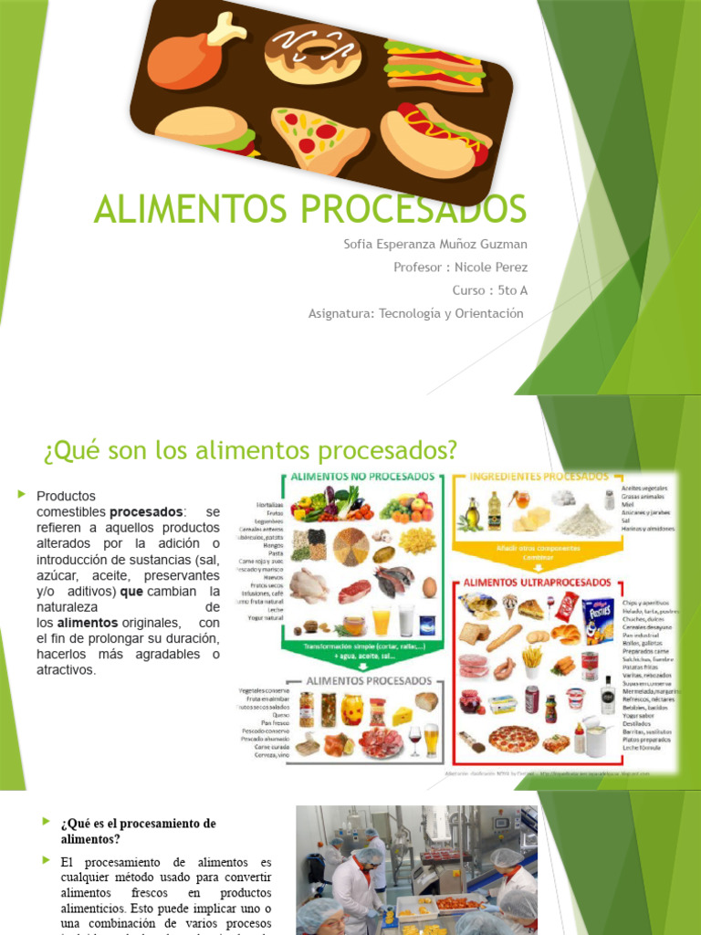 Procesamiento de Alimentos - Sofia Esperanza Muñoz Guzman | PDF | Alimentos | Nutrición