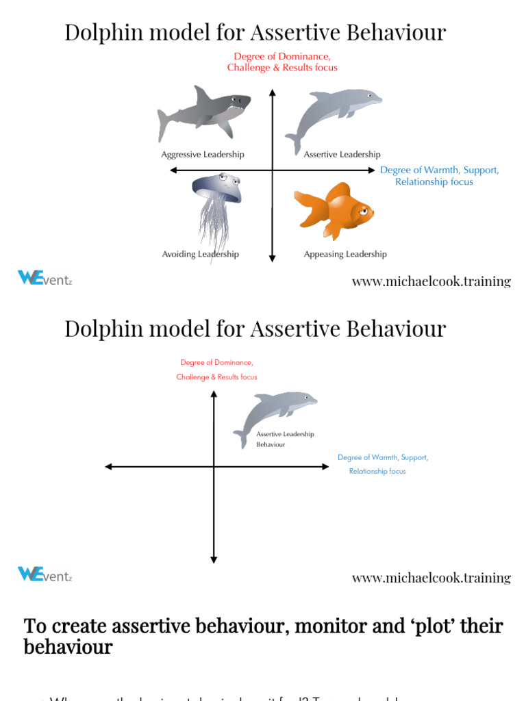 WEventz Dolphin Behaviour Model Handout | PDF