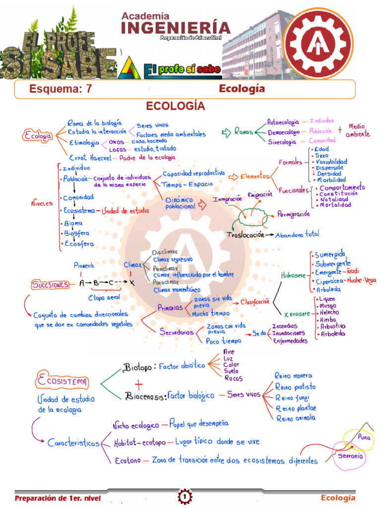 Ecología - Esquema 7 Ecología | PDF