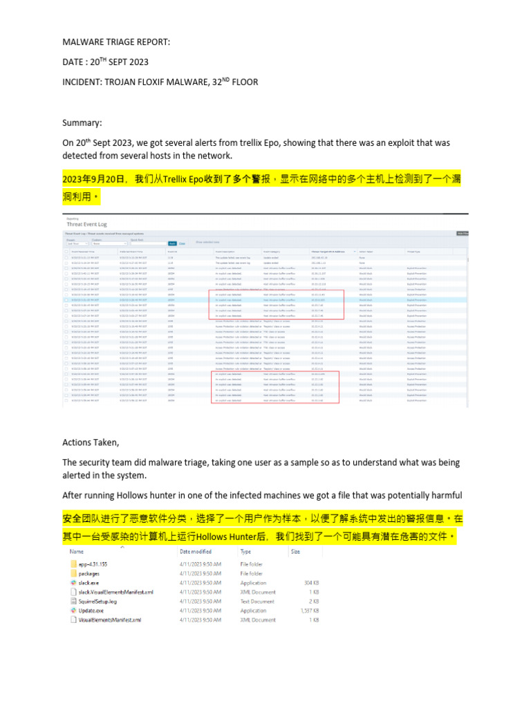 Malware Triage Report | PDF