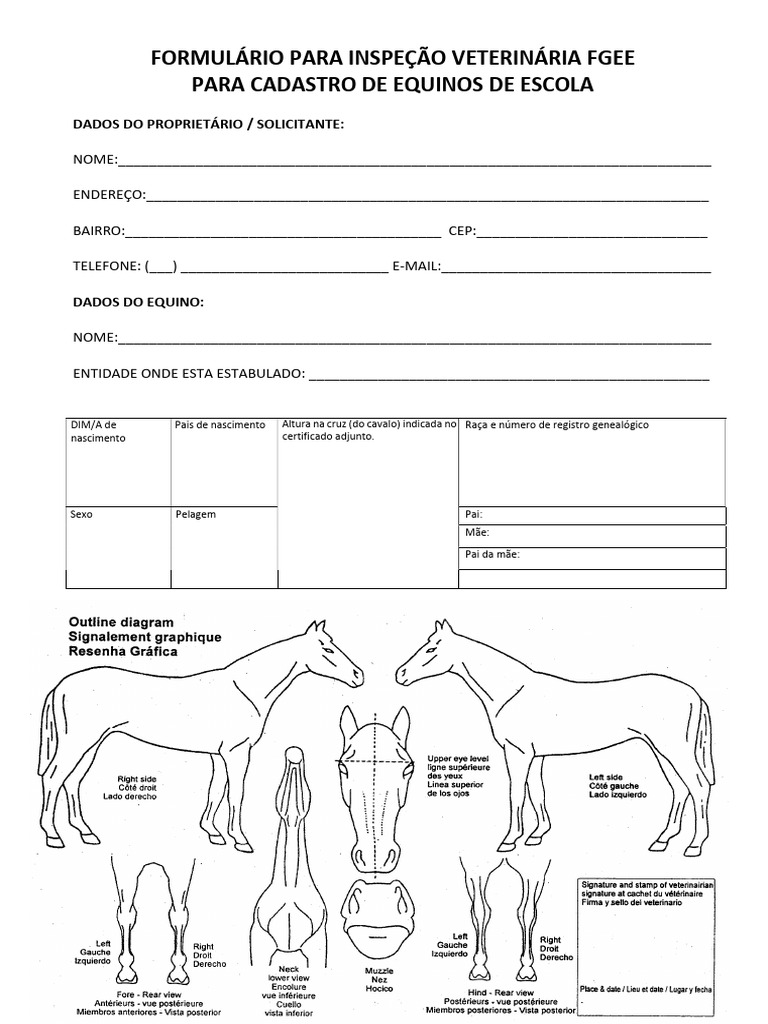 Formulario Cadastro Cavalos Escolas | PDF | Negócios | Tecnologia e Engenharia