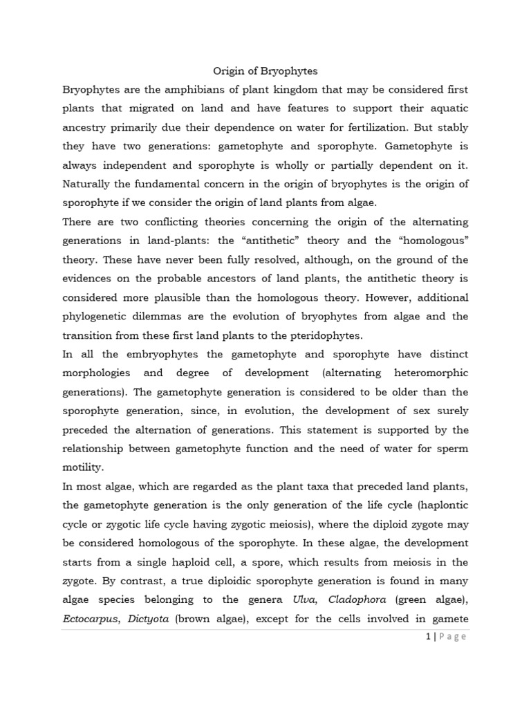 Origin of Bryophytes JPK | PDF | Meiosis | Moss