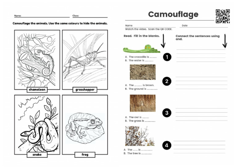 English Year 1 Camouflage Worksheets | PDF