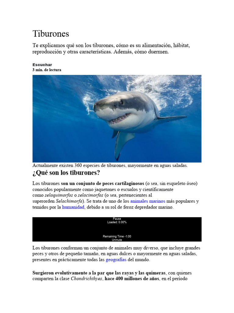 Tiburones | PDF | Tiburones | Animales acuáticos
