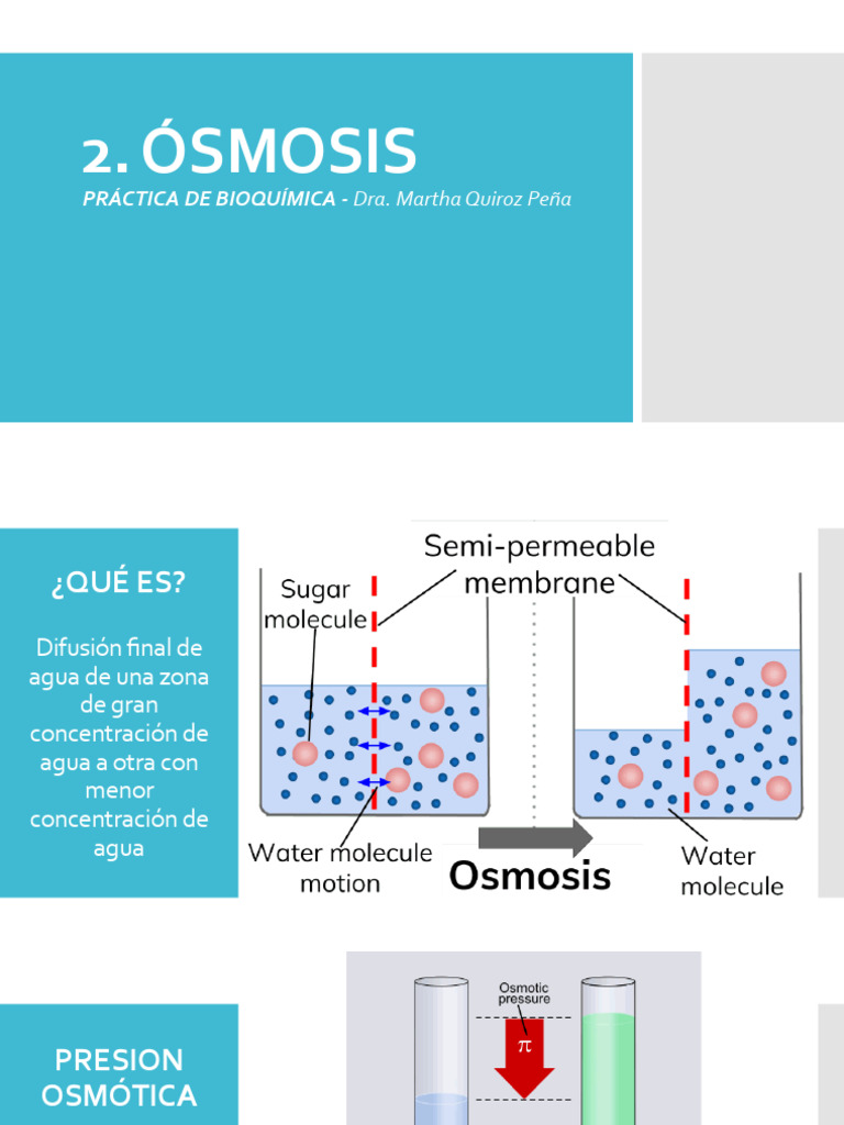 Ósmosis | PDF | Ósmosis | Ingeniería de Procesos