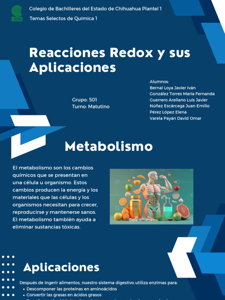 Presentación Reacciones REDOX | PDF | Redox | Metabolismo