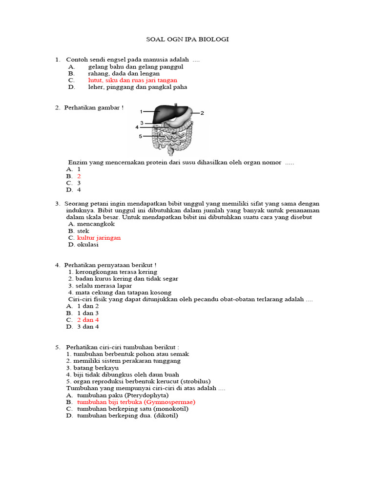 Soal Biologi Ogn | PDF