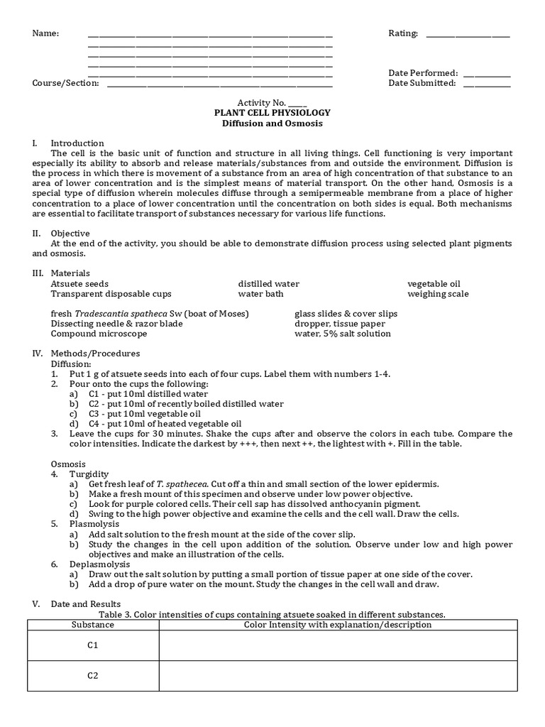 Plant Cell Diffusion & Osmosis Lab | PDF | Osmosis | Chemistry