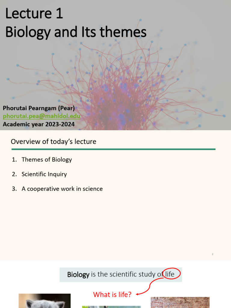 Key Themes in Biology Overview | PDF | Gene | Cell (Biology)