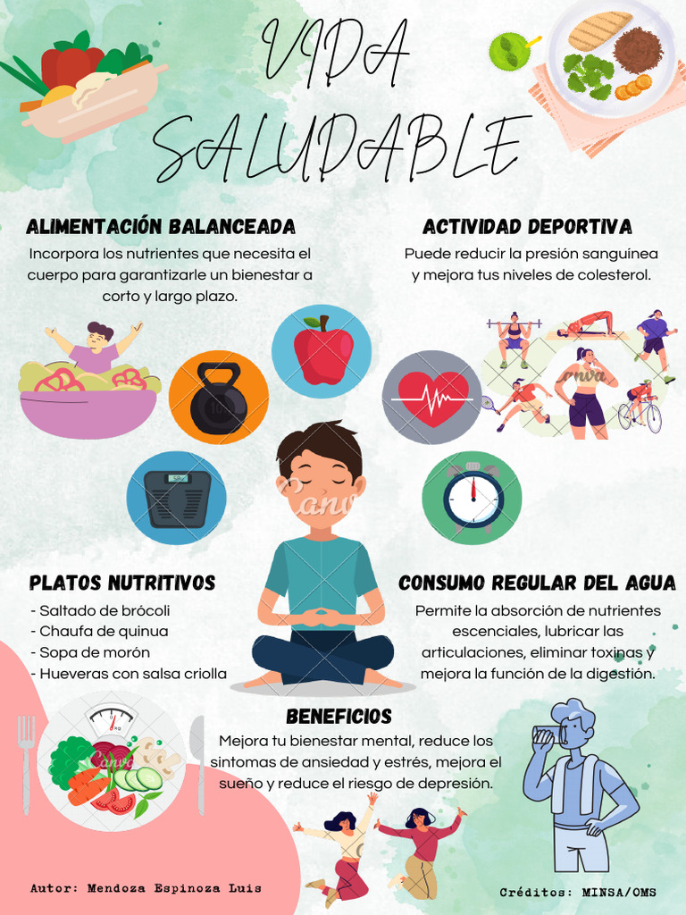 Vida Saludable (Infografía) Mendoza Espinoza Luis | PDF | Cocina ...