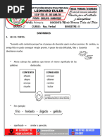 Prueba Sinónimos y Antónimos | PDF