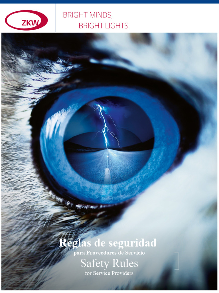 CO Safety Rules Service Providers MX1 | PDF | La seguridad