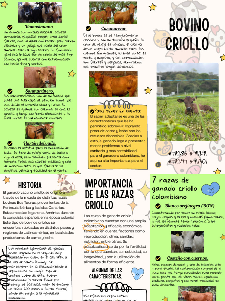 Bovino Criollo | PDF | Vacas | Piel