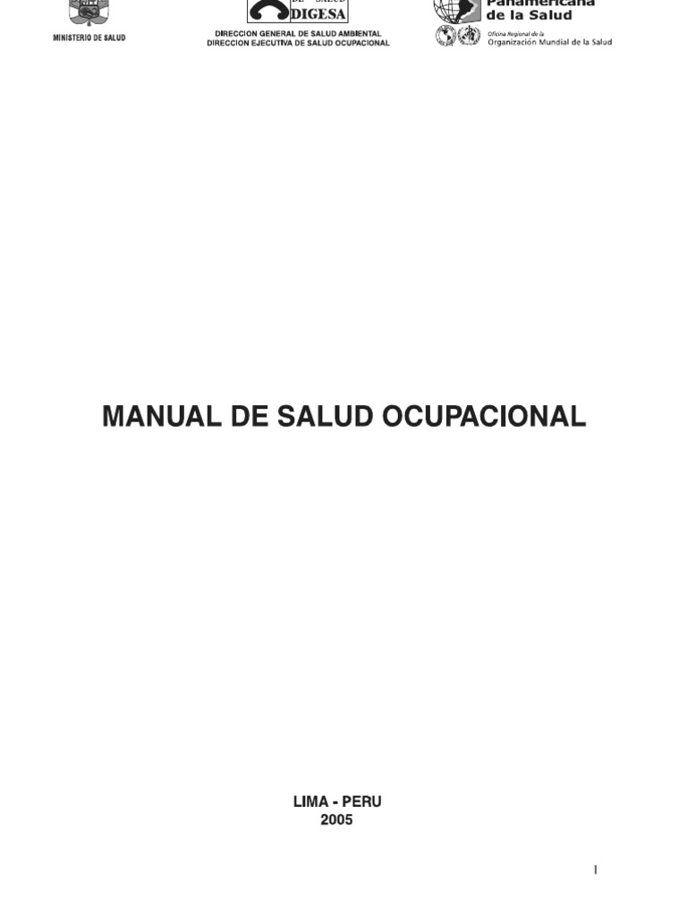 Imp Manual Minsa | PDF