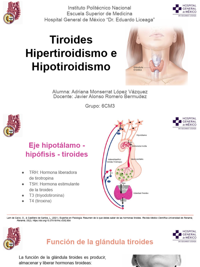Tiroides Hipertiroidismo e Hipotiroidismo | PDF | Hipotiroidismo | Hipertiroidismo