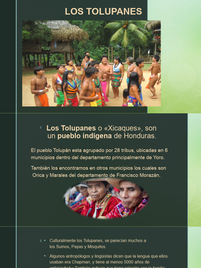 Los Pech y Tolupanes Presentacion | PDF | Etnicidad | Gente indígena