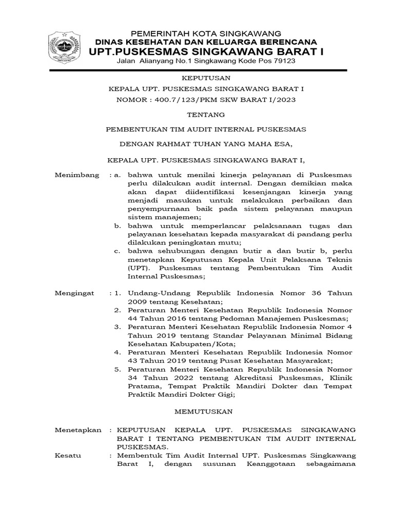 Pembentukan Tim Audit Internal Puskesmas | PDF