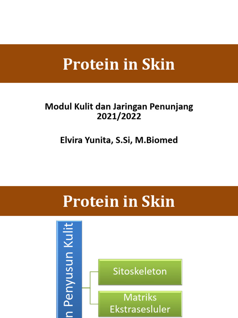 K1. Protein Penyusun Kulit (Elvira Yunita, S.Si, M.Biomed) | PDF | Cytoskeleton | Microtubule