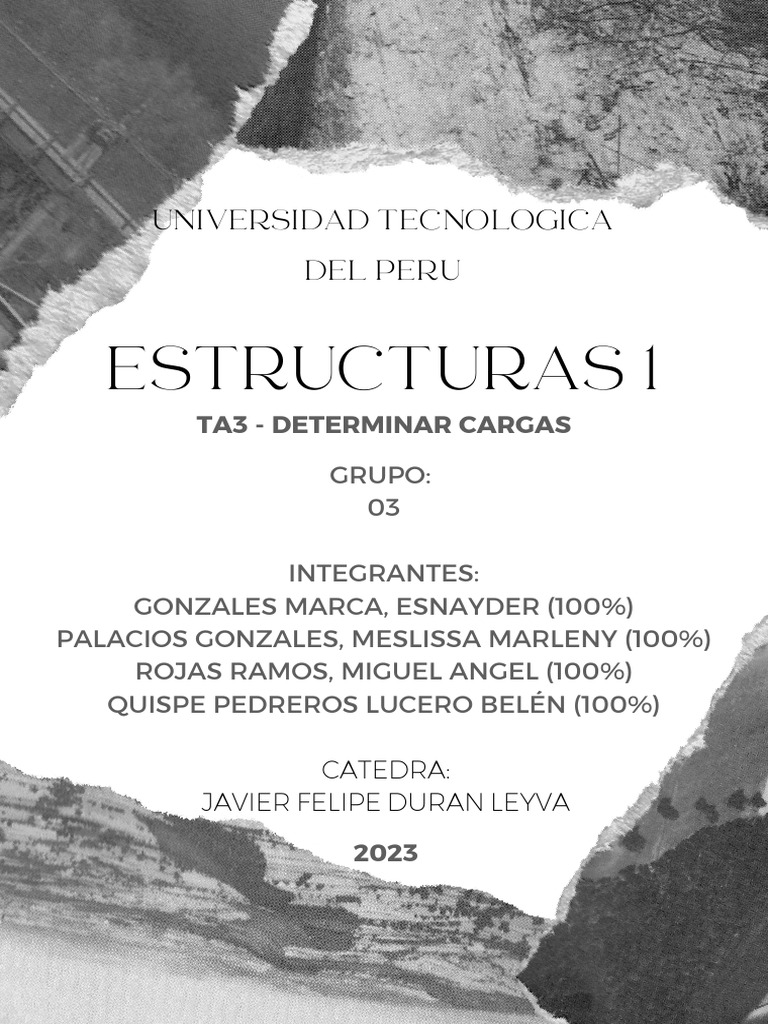 Ta3 (Grupo 3) - Determinar Cargas | PDF