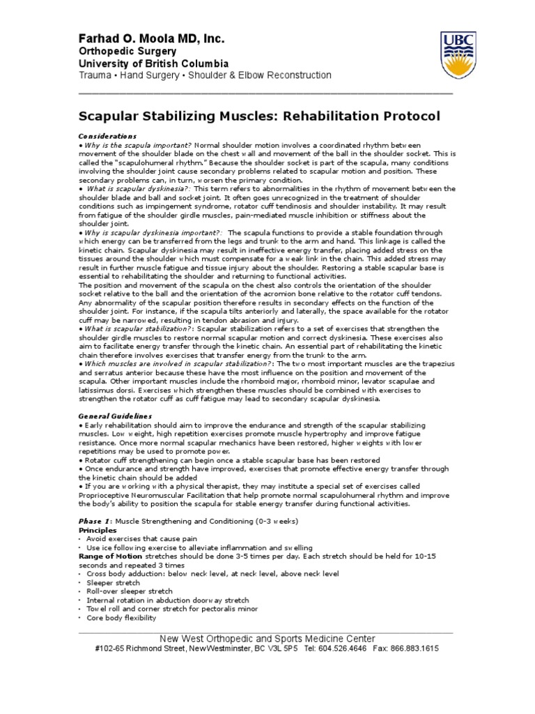 Scapular Stabilization Exercises | PDF | Shoulder | Anatomical Terms Of ...