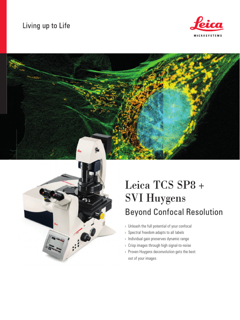 Leica TCS SP8 SVI Huygens-Flyer - EN | Download Free PDF | Confocal Microscopy | Microscopy