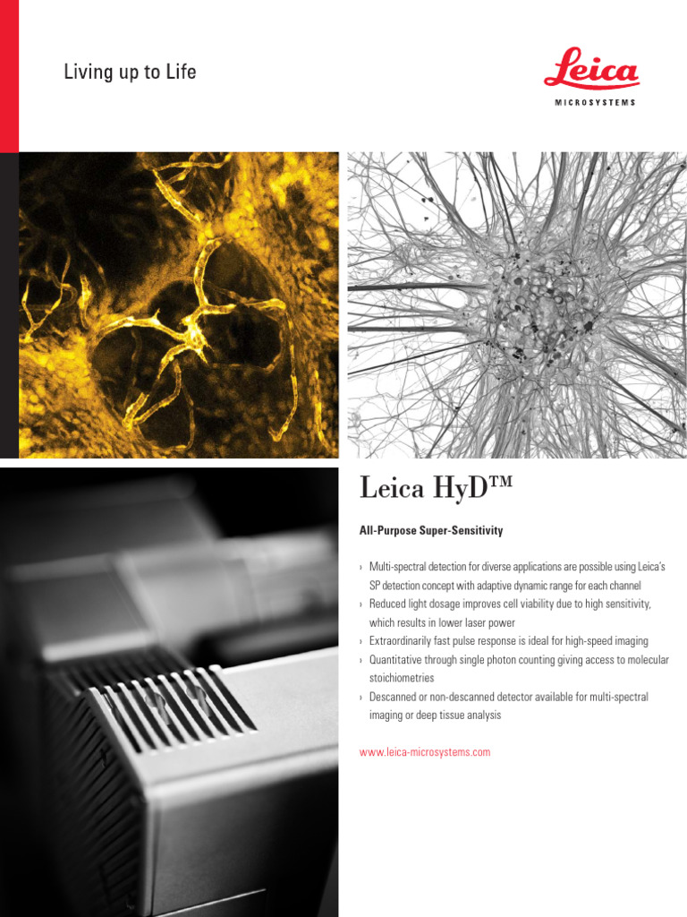 Leica TCS SP8 HyD-Flyer - EN | PDF | Confocal Microscopy | Chemistry