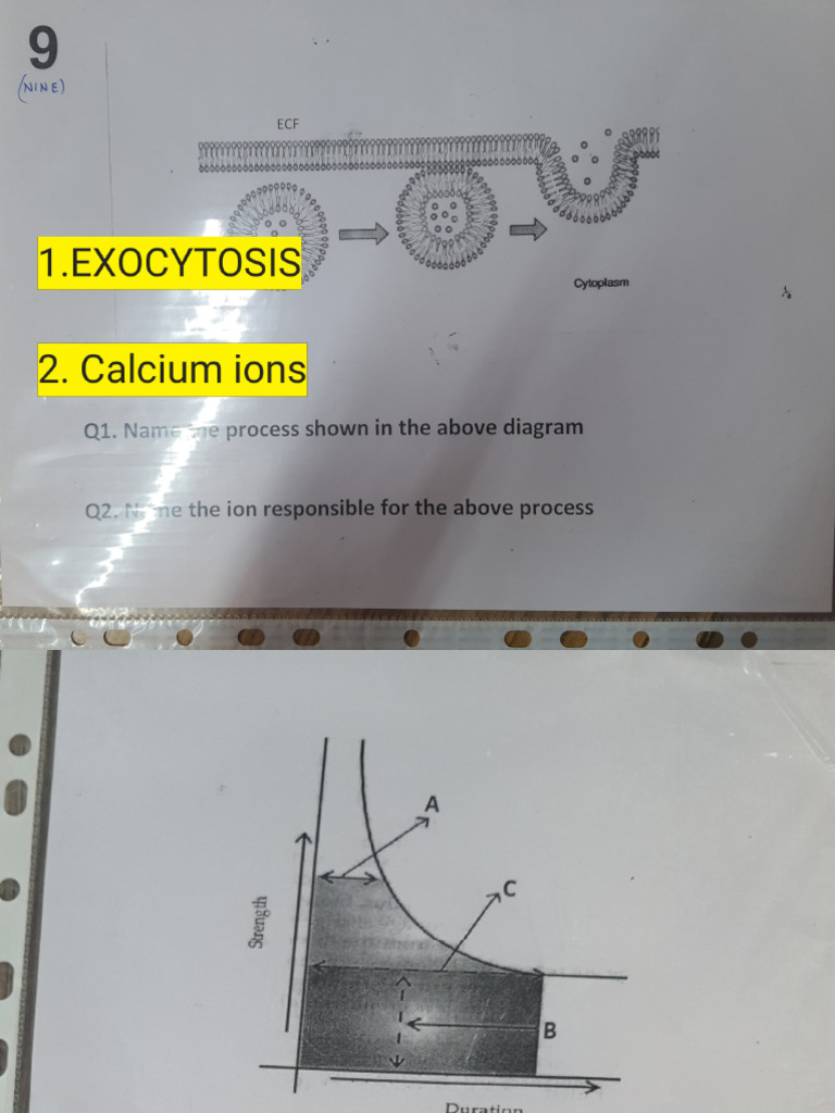 Solved Final Physio Spots | PDF Solved Final Physio Spots | PDF
