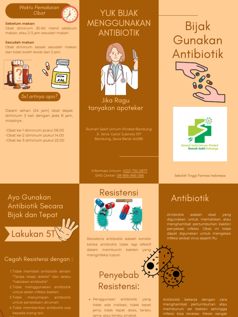 leaflet penggunaan antibiotik | PDF