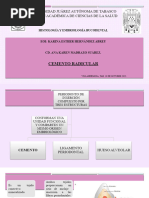 Tipos de Cemento Radicular: Acelular y Celular | PDF | Ramas de ...