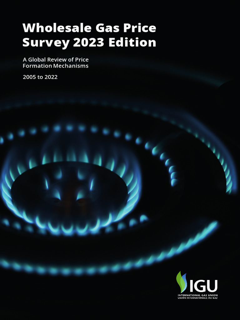 Final v2 Wholesale Gas Price Survey 2023 Edition | PDF | Liquefied ...