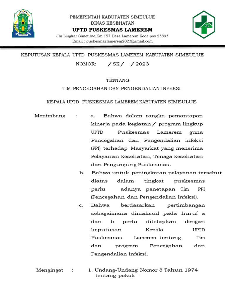 2023 SK Tim Dan Program Ppi | PDF