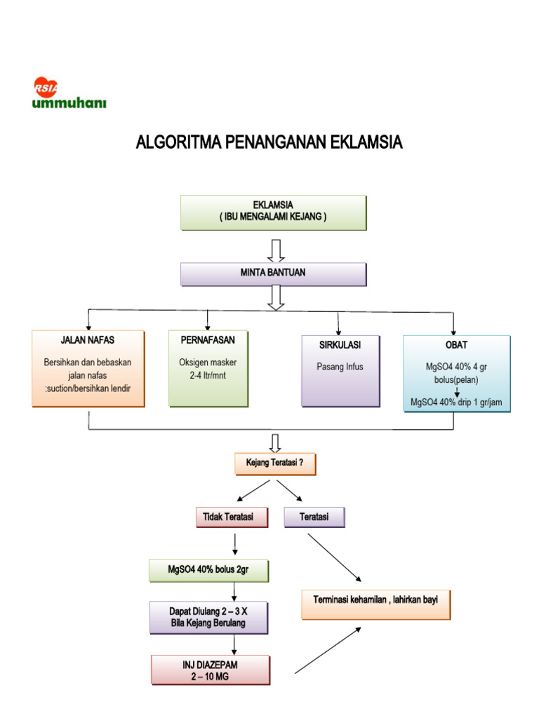 Algoritma Eklamsia | PDF