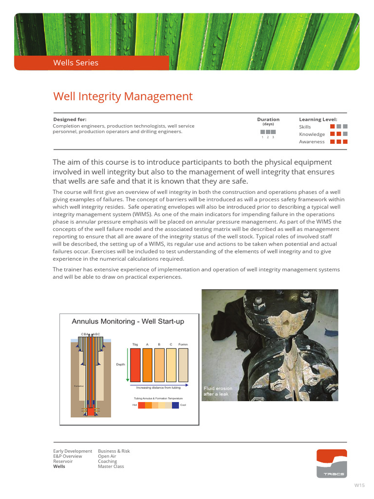 W15 Well Integrity Management | Download Free PDF | Oil Well