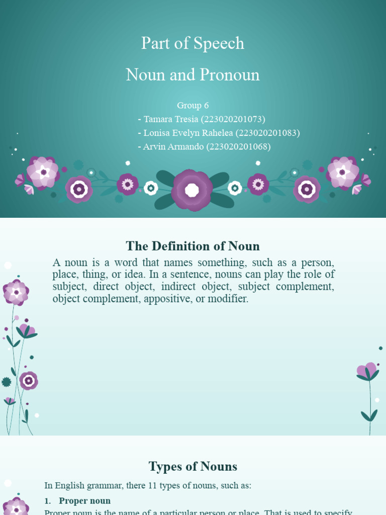 Noun and Pronoun Types Explained | PDF | Noun | Pronoun