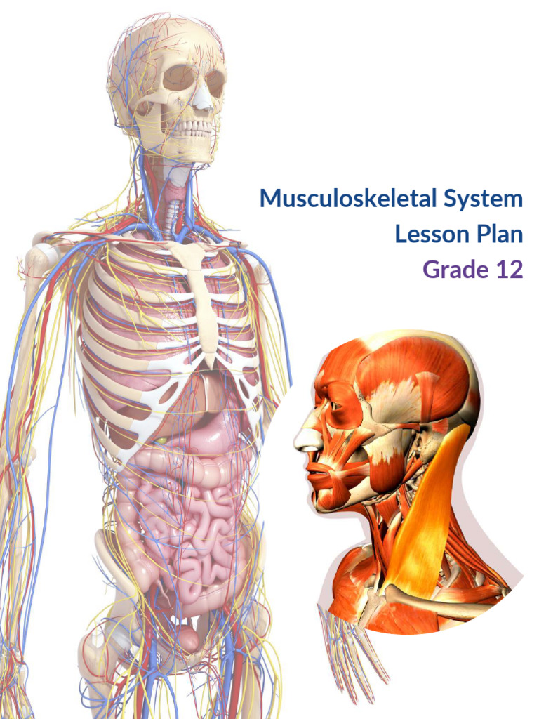Grade 12 Musculoskeletal System Lesson Plan | PDF | Skeletal Muscle ...